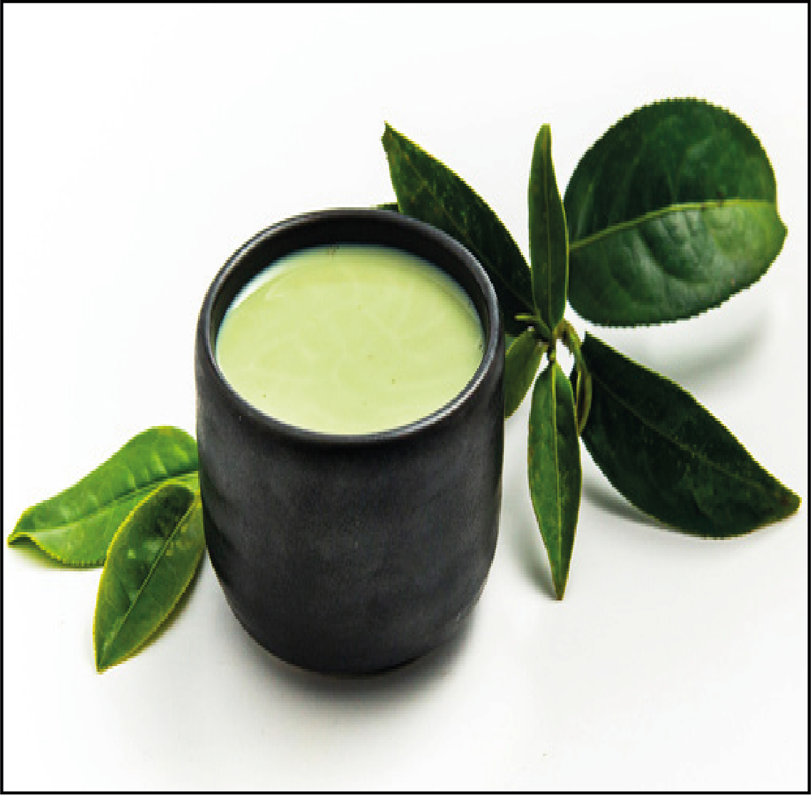 food – IWASE COSFA USA